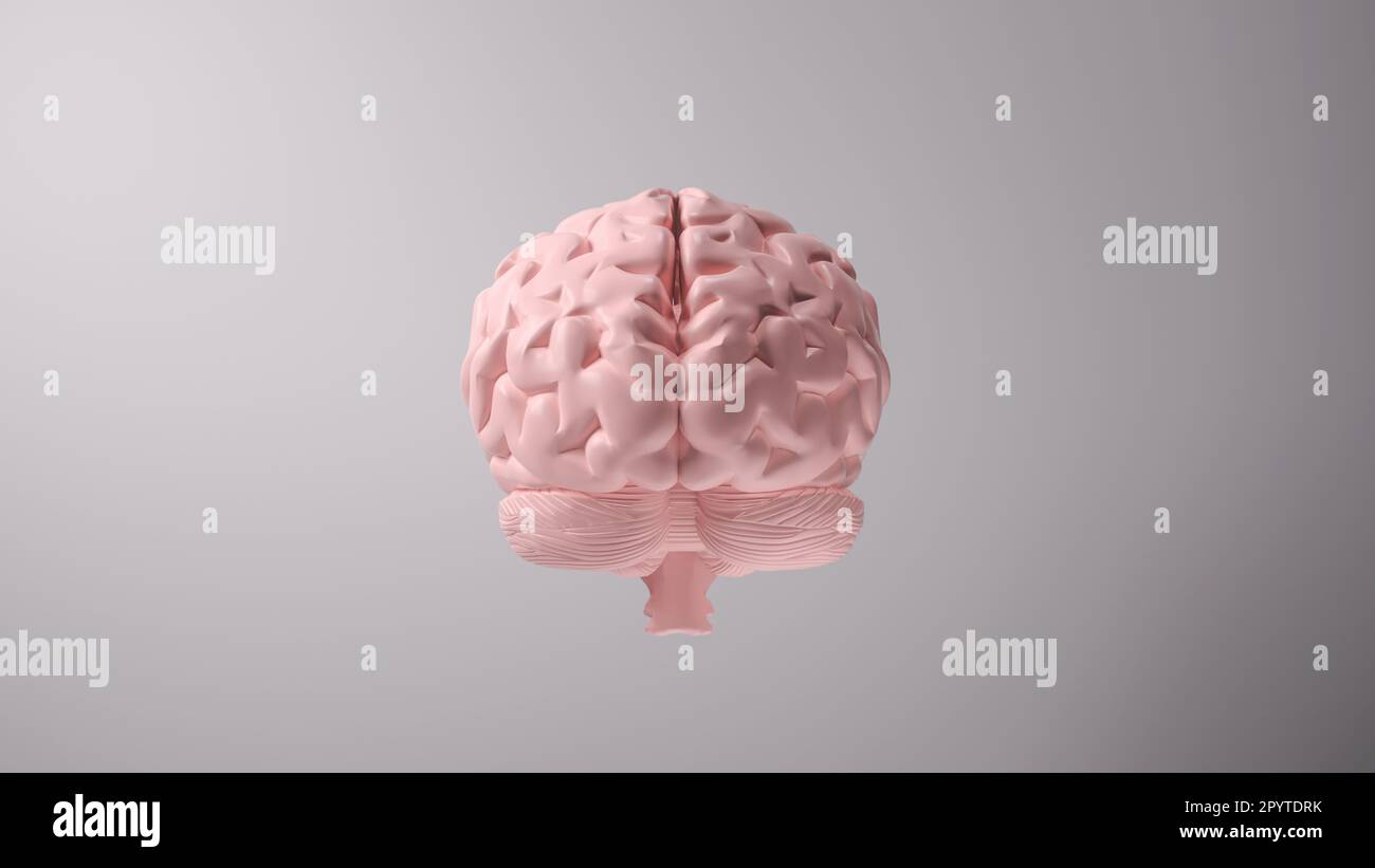 Pink brain in front view on grey background, thinking comic spee Stock ...