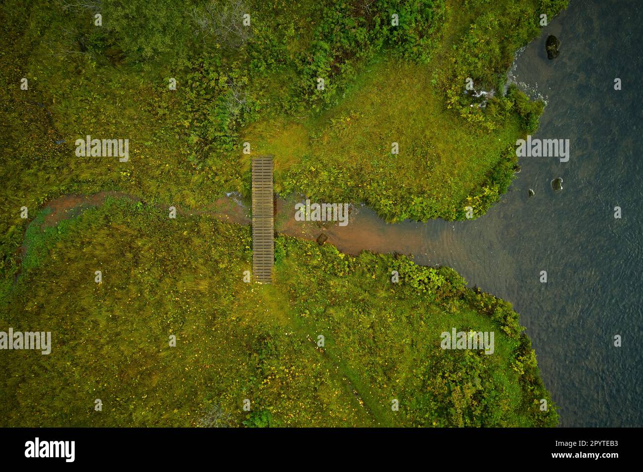 Grassy shore calm pond hi-res stock photography and images - Alamy