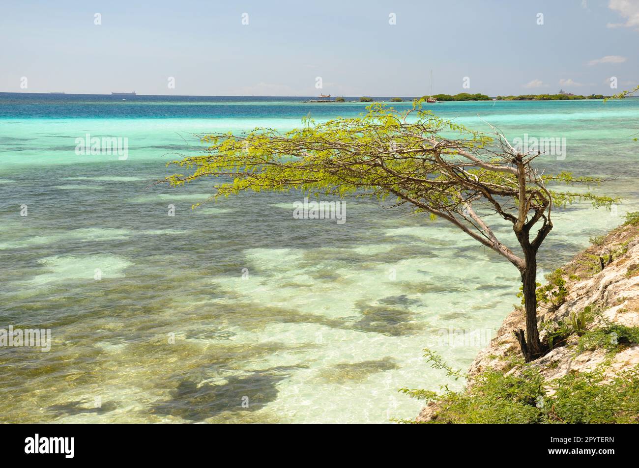 Pristine, turquoise waters at Mangel Halto Beach in the Caribbea Stock ...