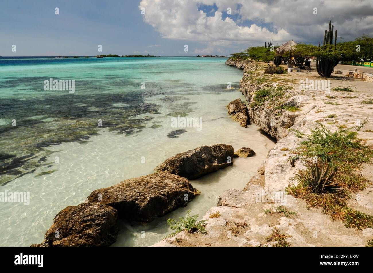 Pristine, turquoise waters at Mangel Halto Beach in the Caribbea Stock ...