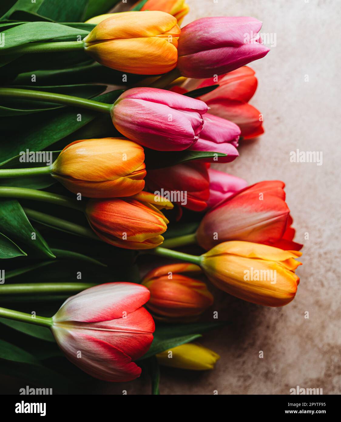 Beautiful bouquet of colorful flowers background from above overhead ...