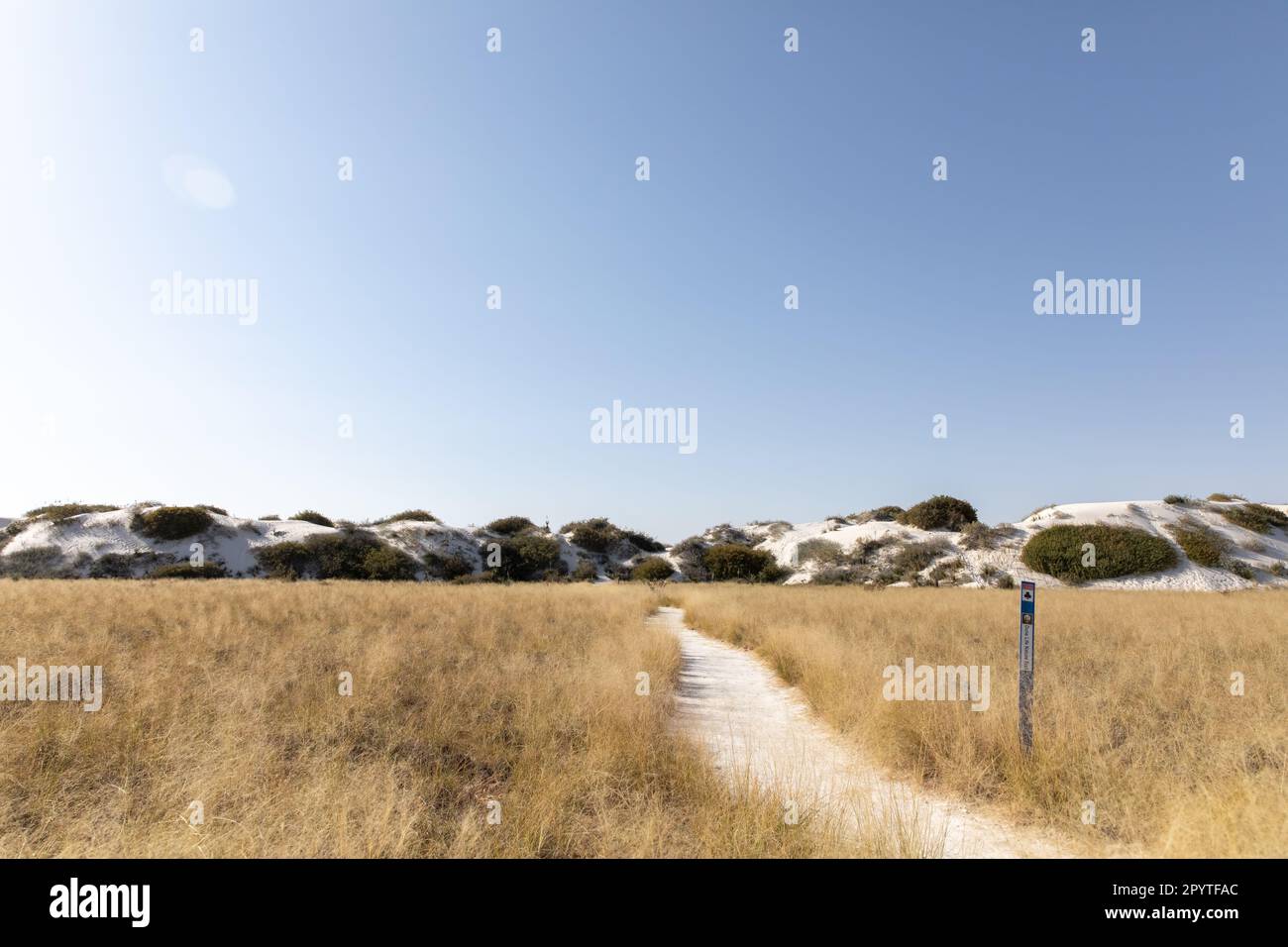 Trail through dune in hi-res stock photography and images - Alamy
