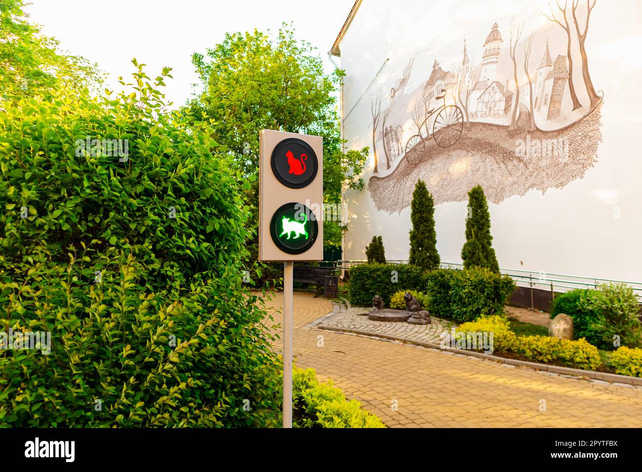 Traffic light for cats. There are a lot of cats here. The residents ...