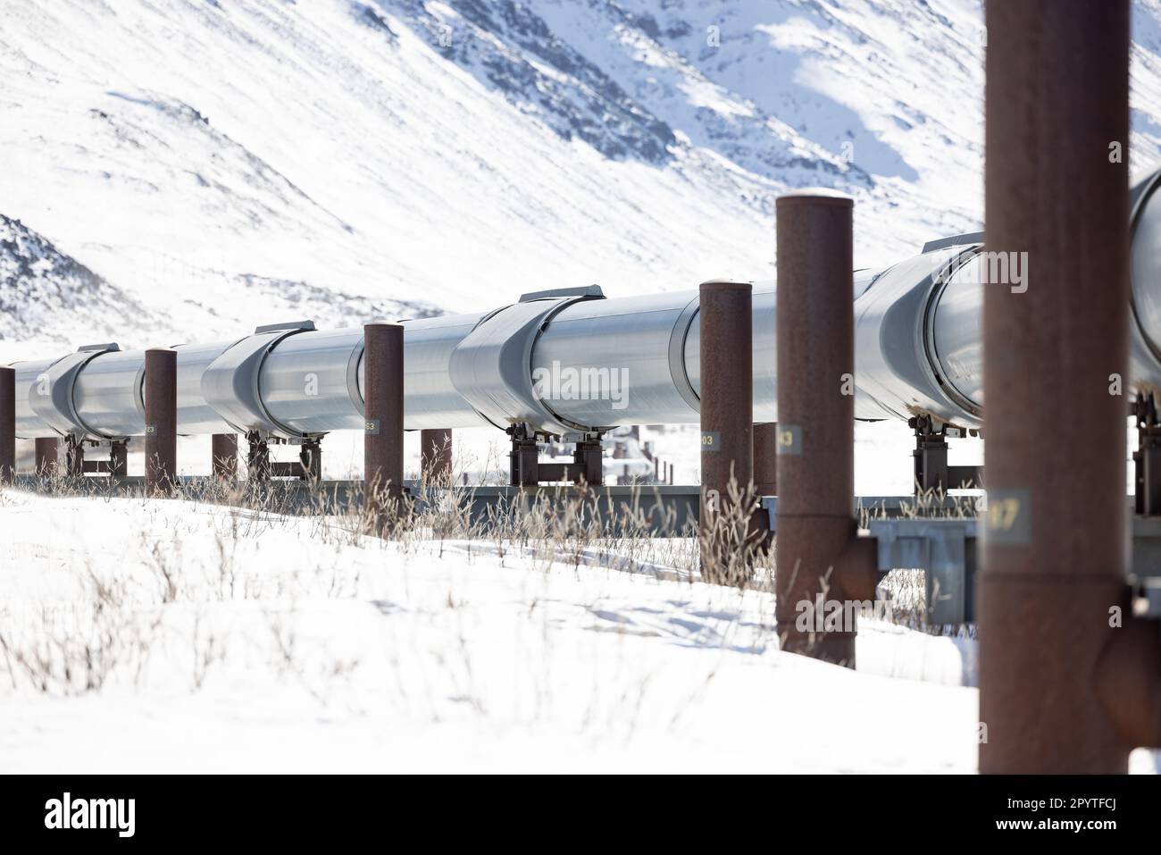 Trans-Alaska Pipeline System on the Dalton Highway Stock Photo - Alamy