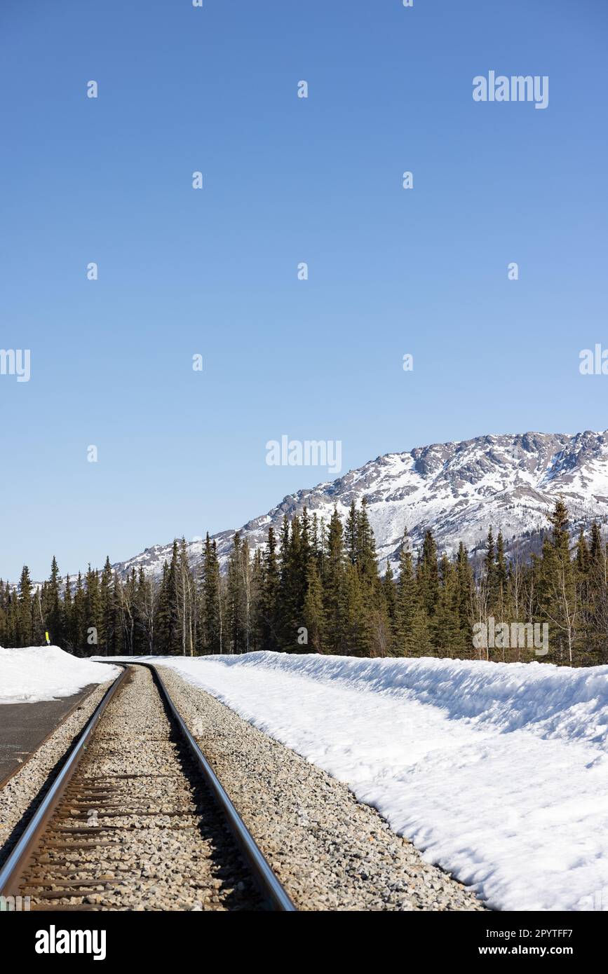 Denali Star train track in Denali, Alaska Stock Photo - Alamy