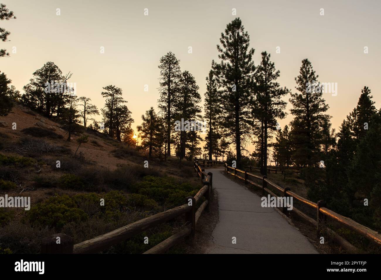 Pathway at Bryce Canyon National Park Stock Photo - Alamy