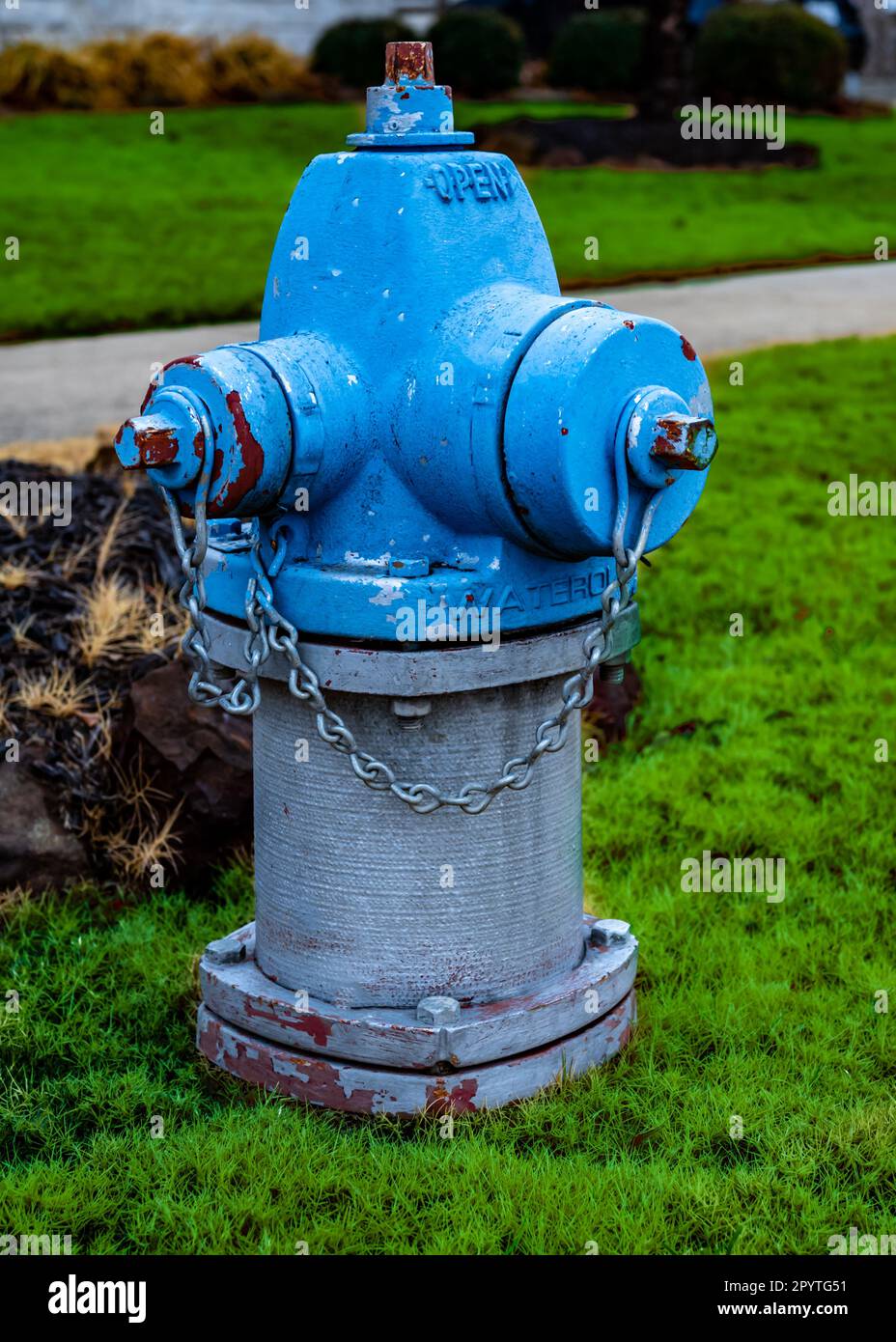 An isolated, blue-painted fire hydrant positioned on the side of a ...