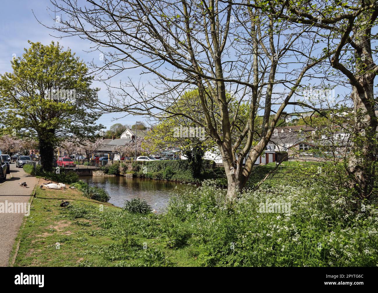 The corner of Millbrook Lake beside the Parade in Millbrook village ...