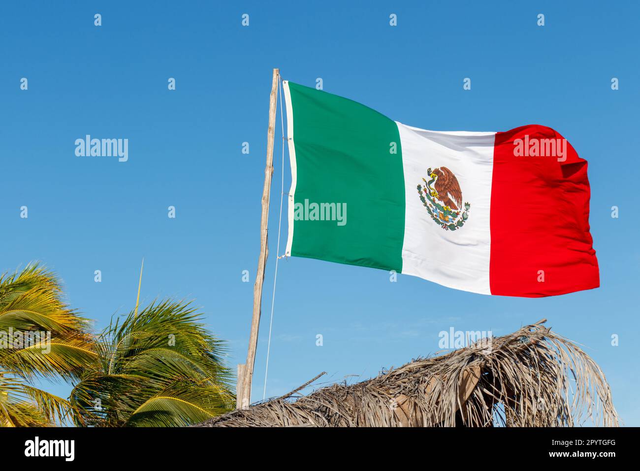 Flag of Mexico over blue sky waving Stock Photo - Alamy