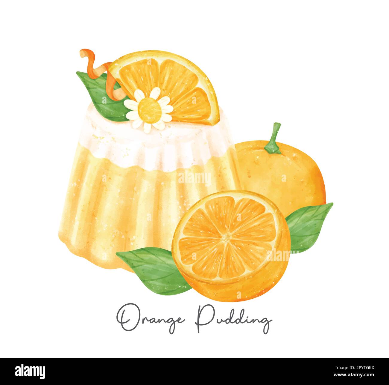 Homemade oragne pudding jelly with fruits composition watercolour ...