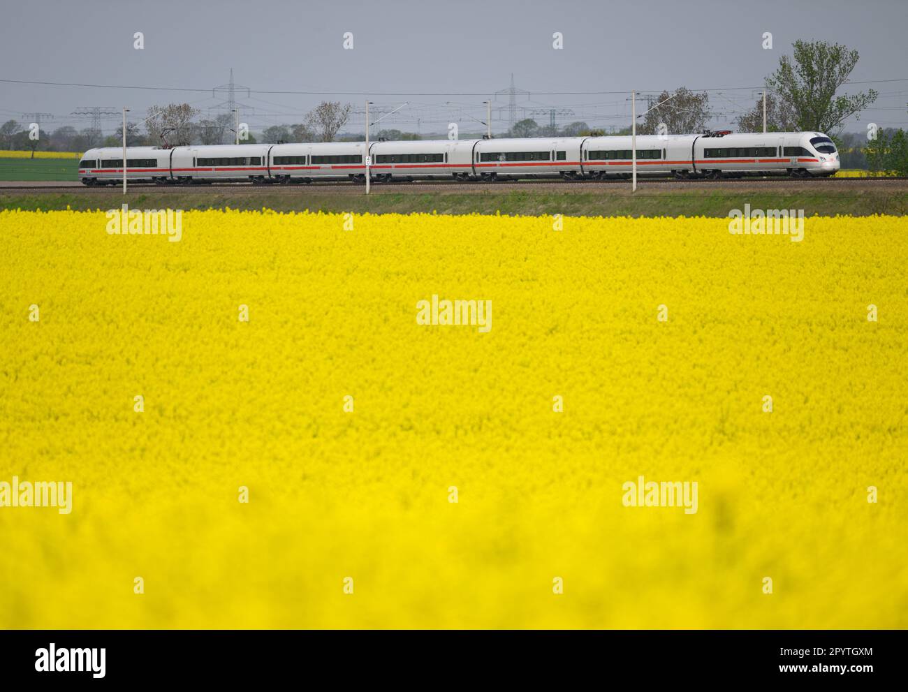 05 May 2023, Saxony, Großenhain: A Deutsche Bahn ICE train travels ...