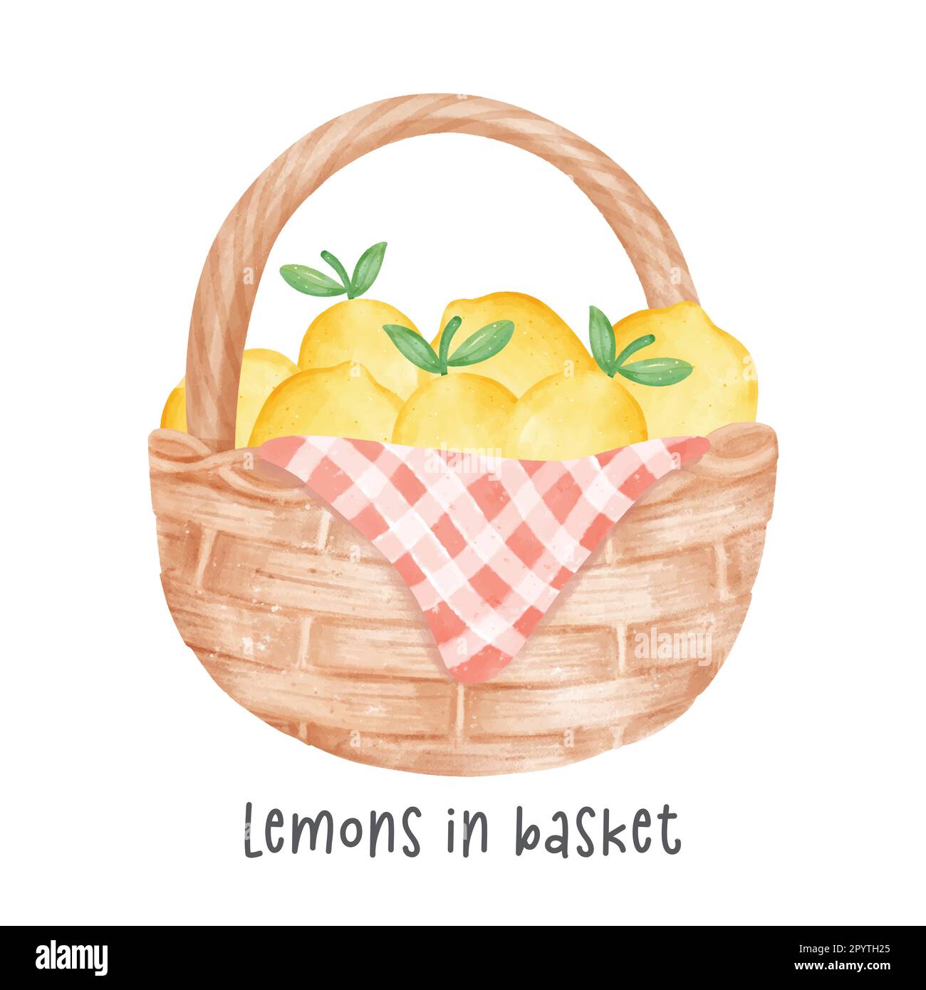 Vegetable Basket Drawing