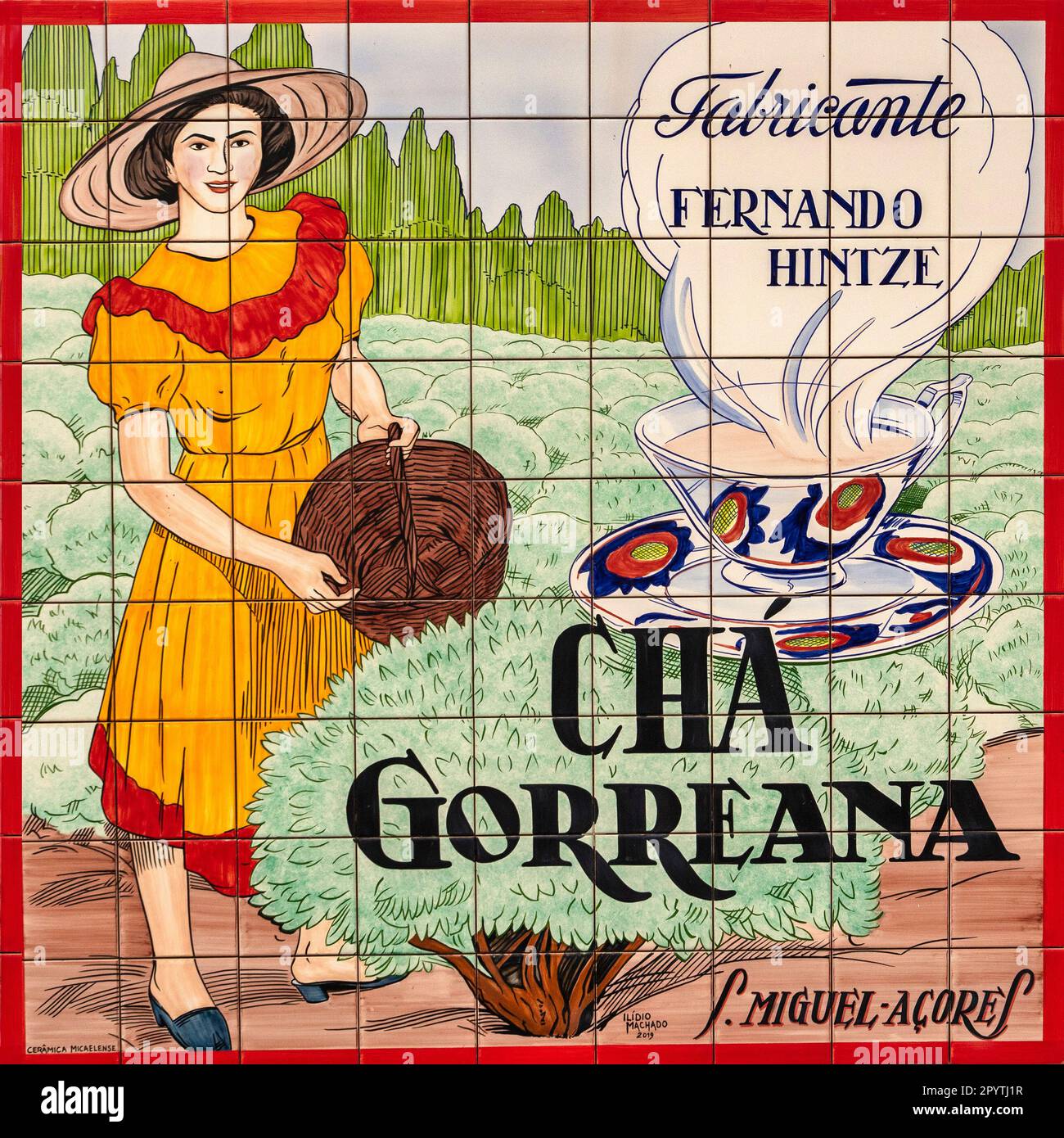 Portugal, Azores, Sao Miguel Island, Gorreana, Tea plantation and ...