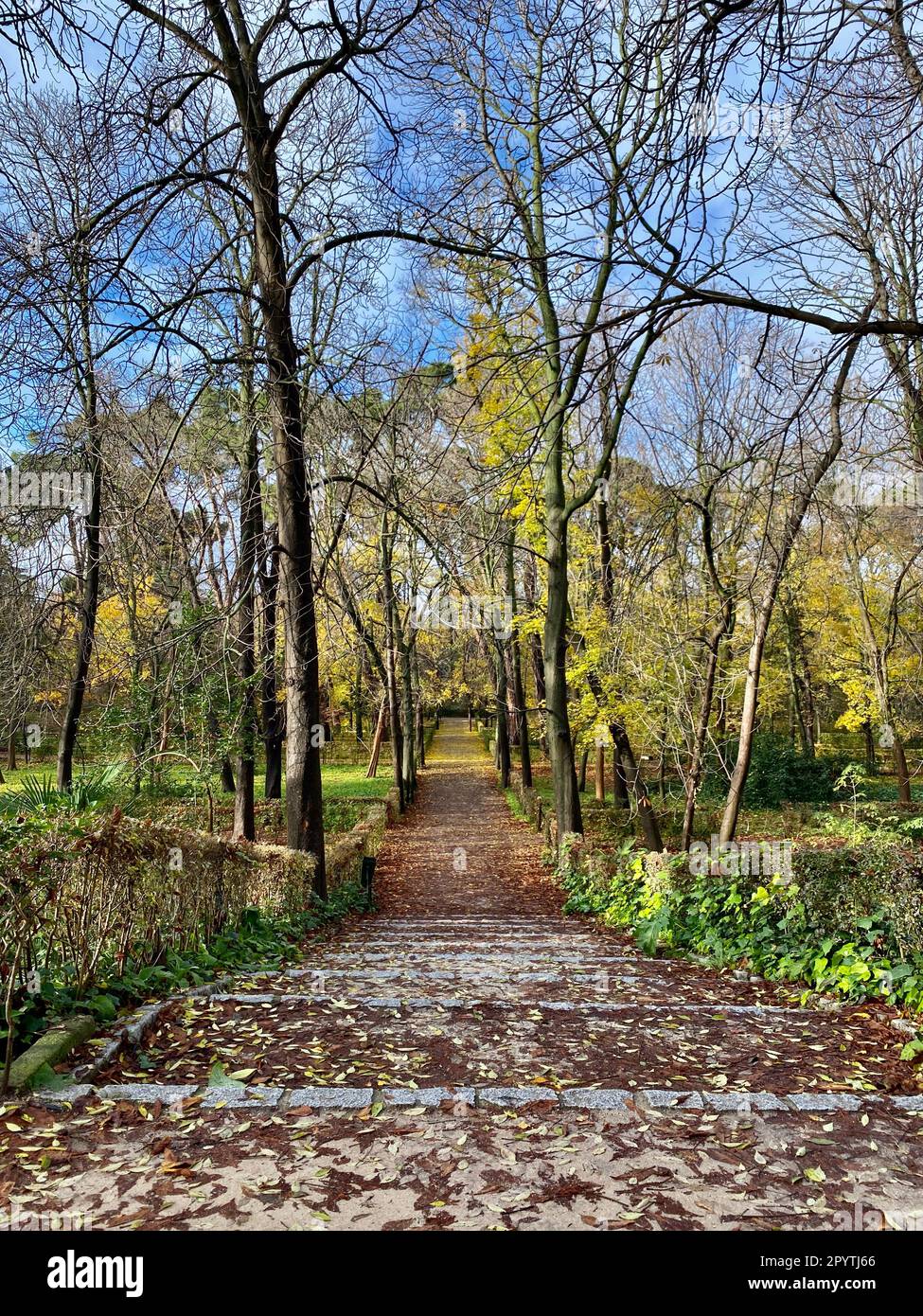 Pathway composed hi-res stock photography and images - Alamy