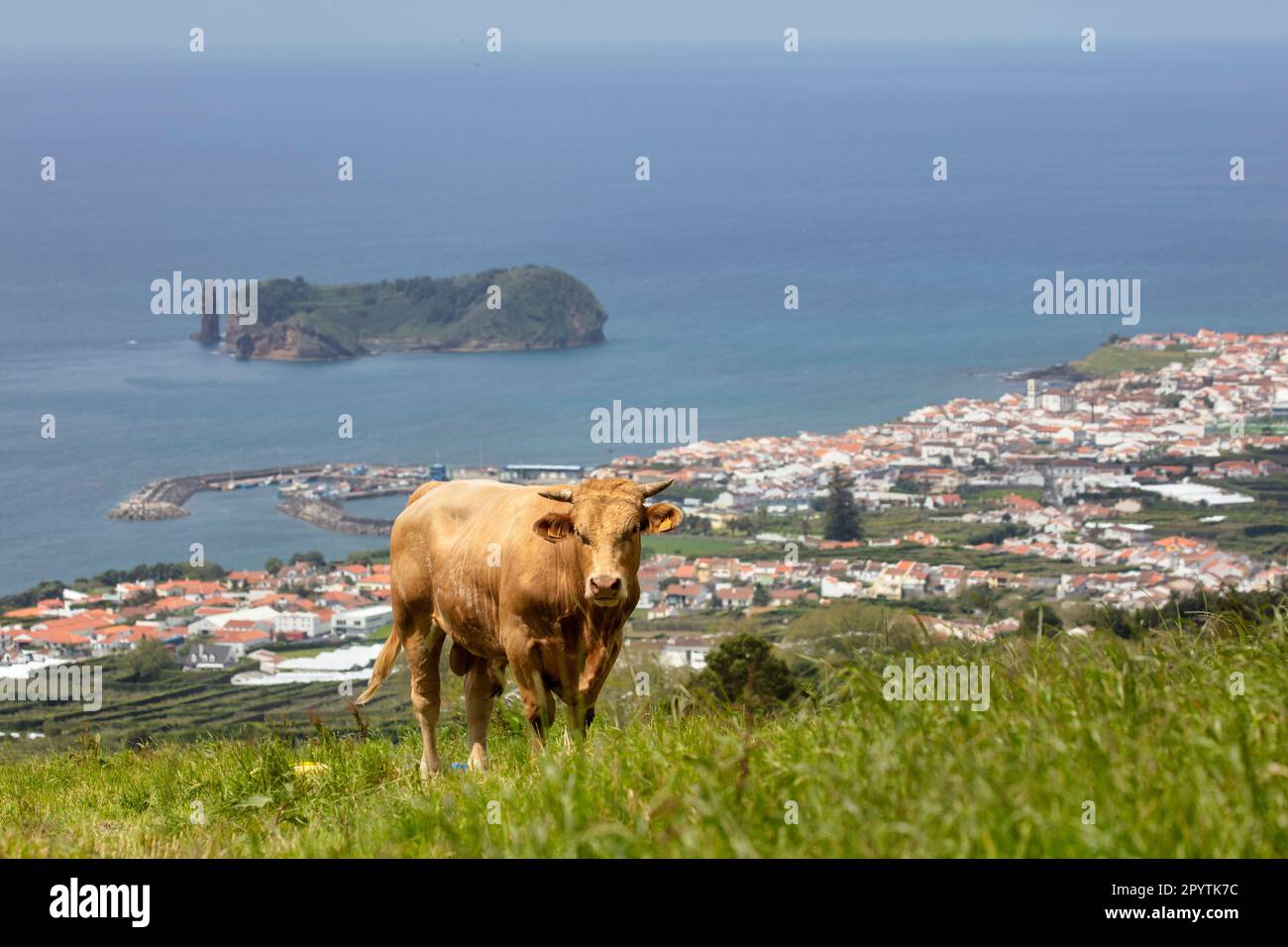Portugal, Azores, Sao Miguel Island, Vila Franca do Campo. View on city ...