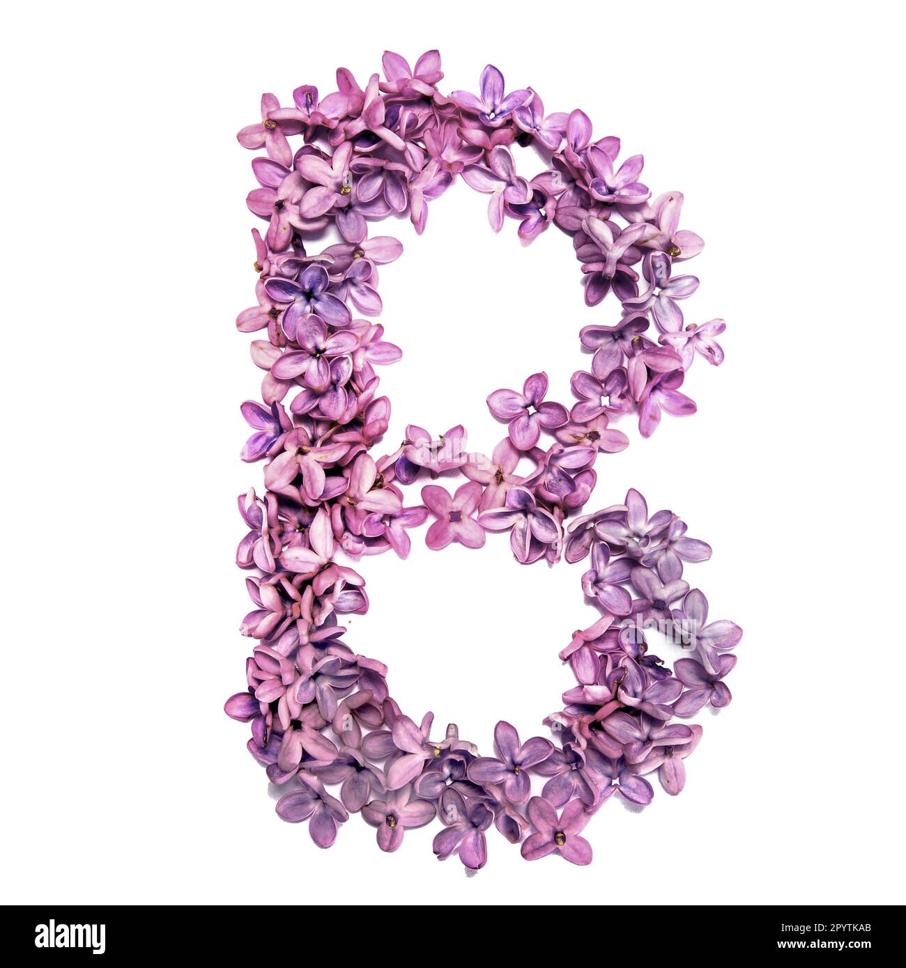 The letter B made of lilac flowers. Square photo with white background ...