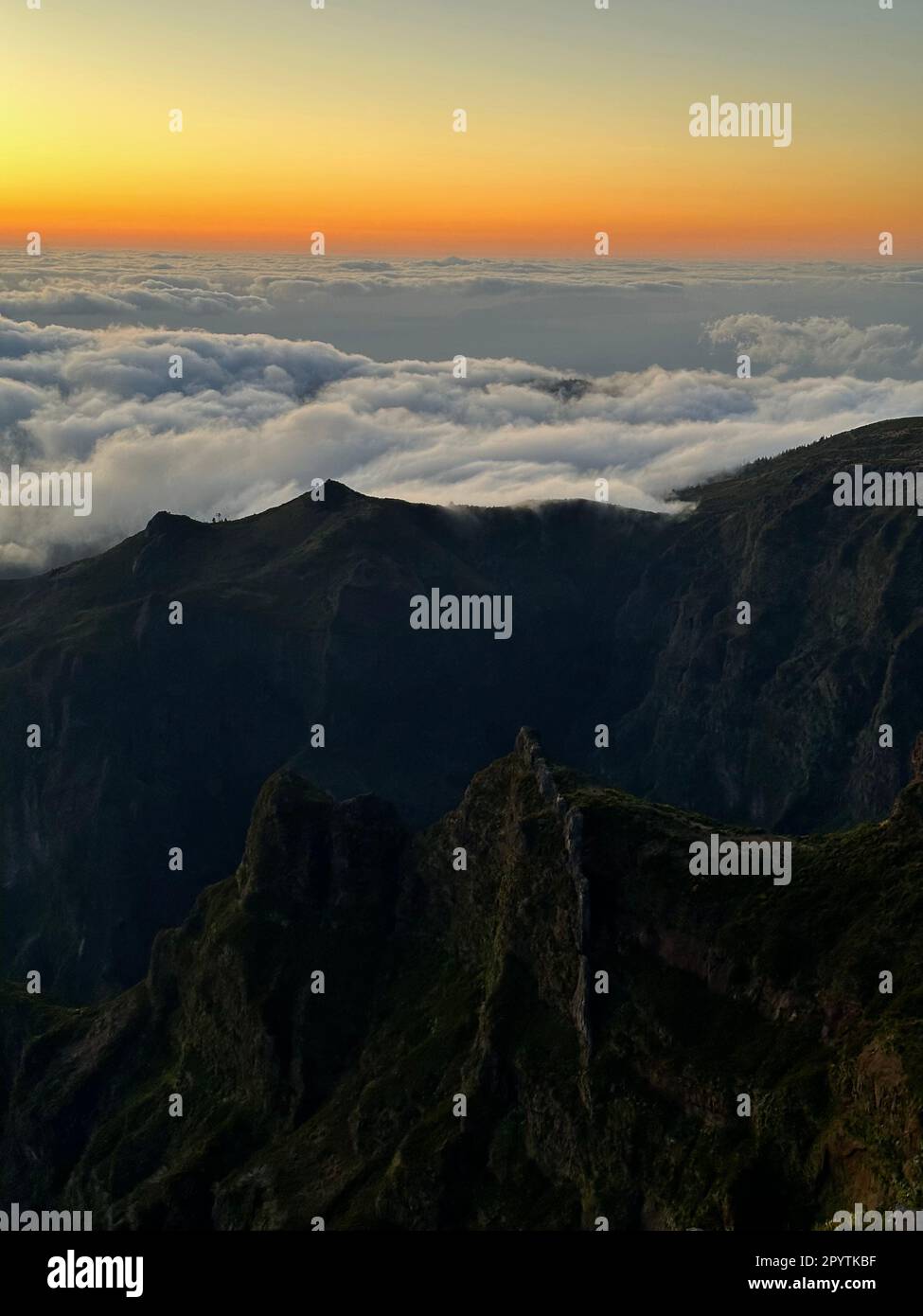 An open landscape with a dramatic mountain in the background and an ...