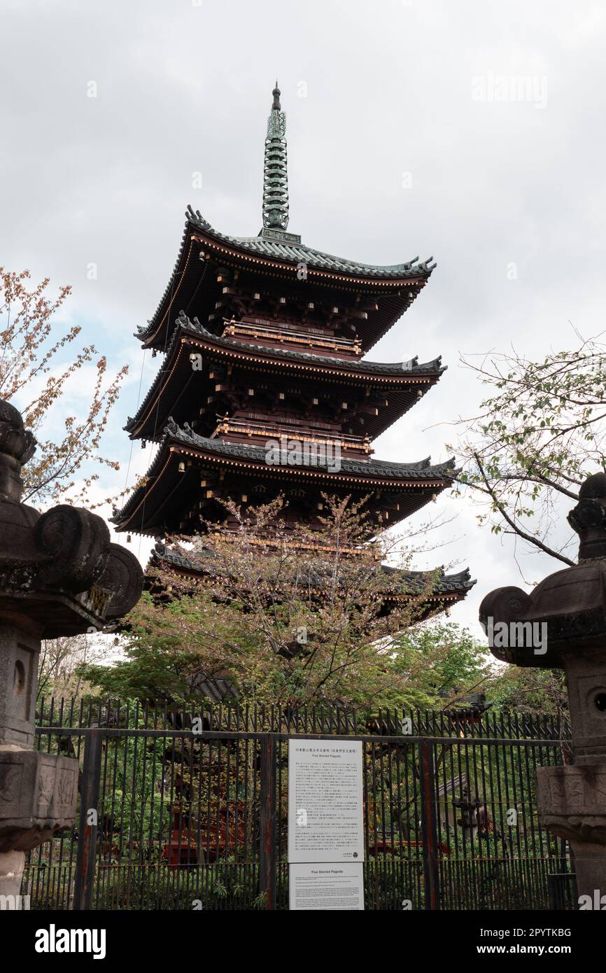 TOKYO, JAPAN - APRIL 8, 2023: Fivefold Pagoda of Kan’ei-ji Temple in ...