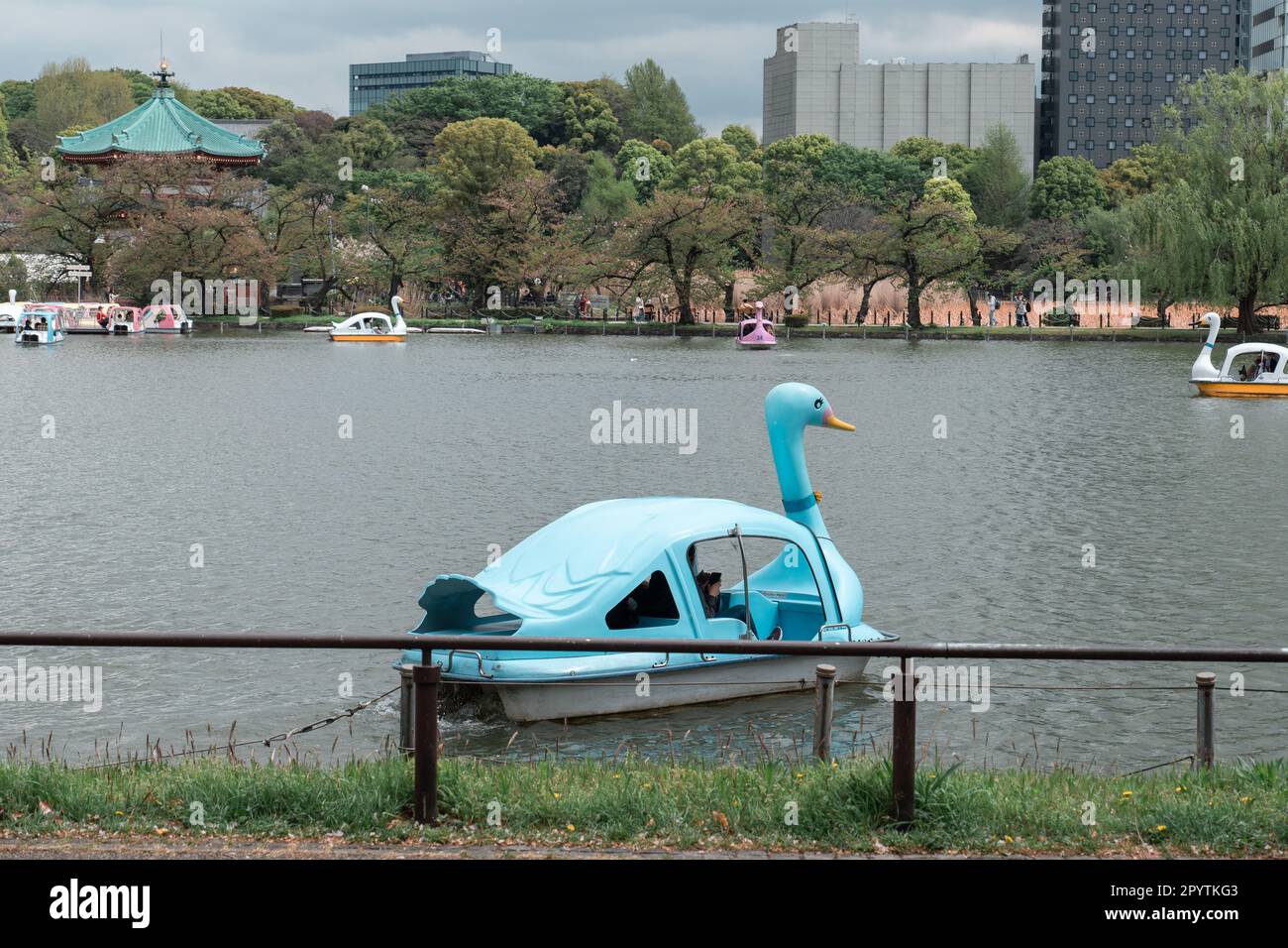 TOKYO, JAPAN - APRIL 8, 2023: People enjoy riding swan paddle boats in ...
