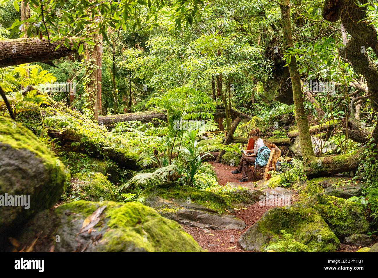 Portugal, Azores, Sao Miguel Island, Furnas. Hot springs and fumaroles ...