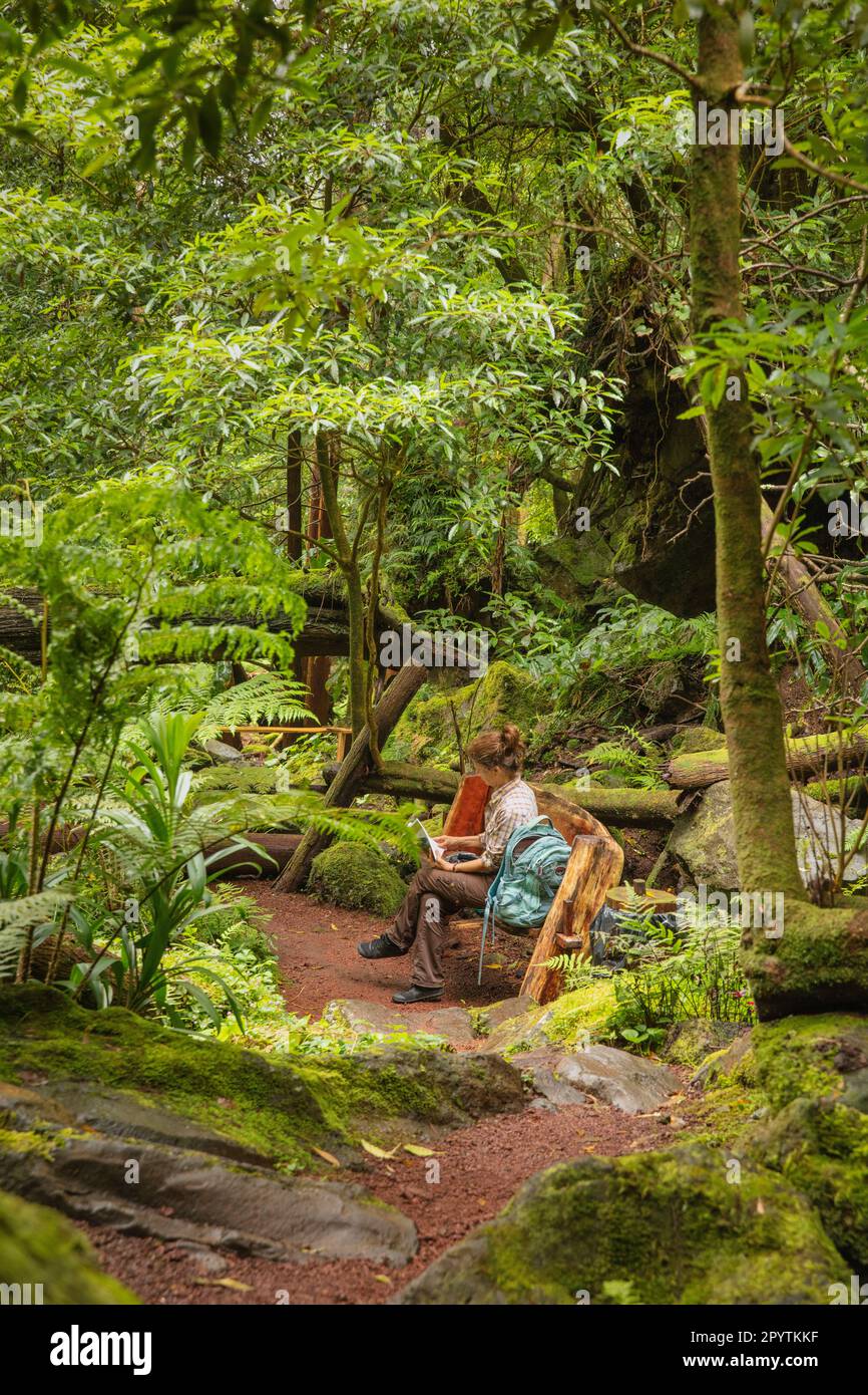 Portugal, Azores, Sao Miguel Island, Furnas. Hot springs and fumaroles ...