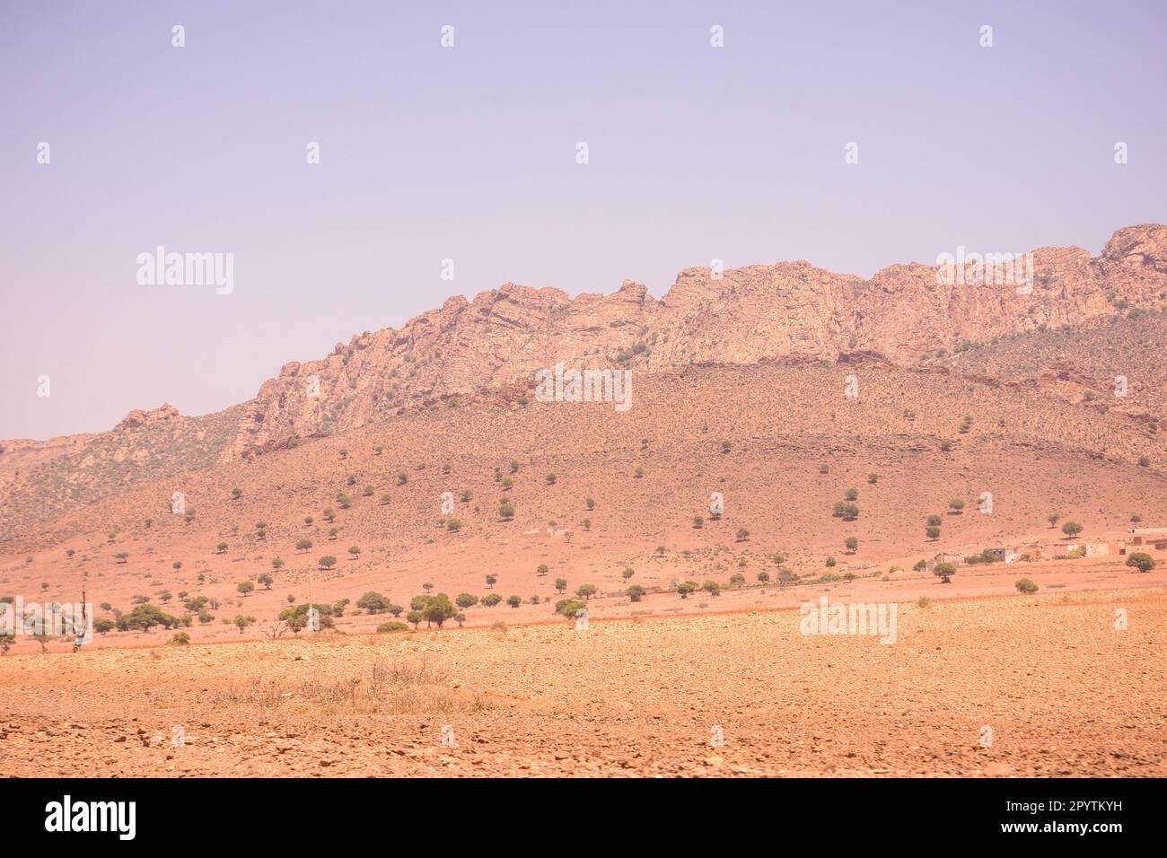 Atlas mountains in Morocco and vegetation in the Sahara desert Stock ...