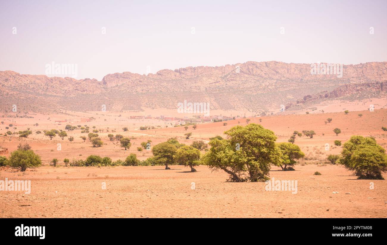 Atlas mountains in Morocco and vegetation in the Sahara desert Stock ...