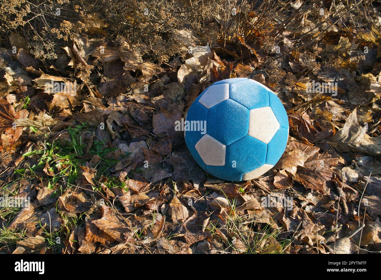 soccer ball on ground Stock Photo - Alamy