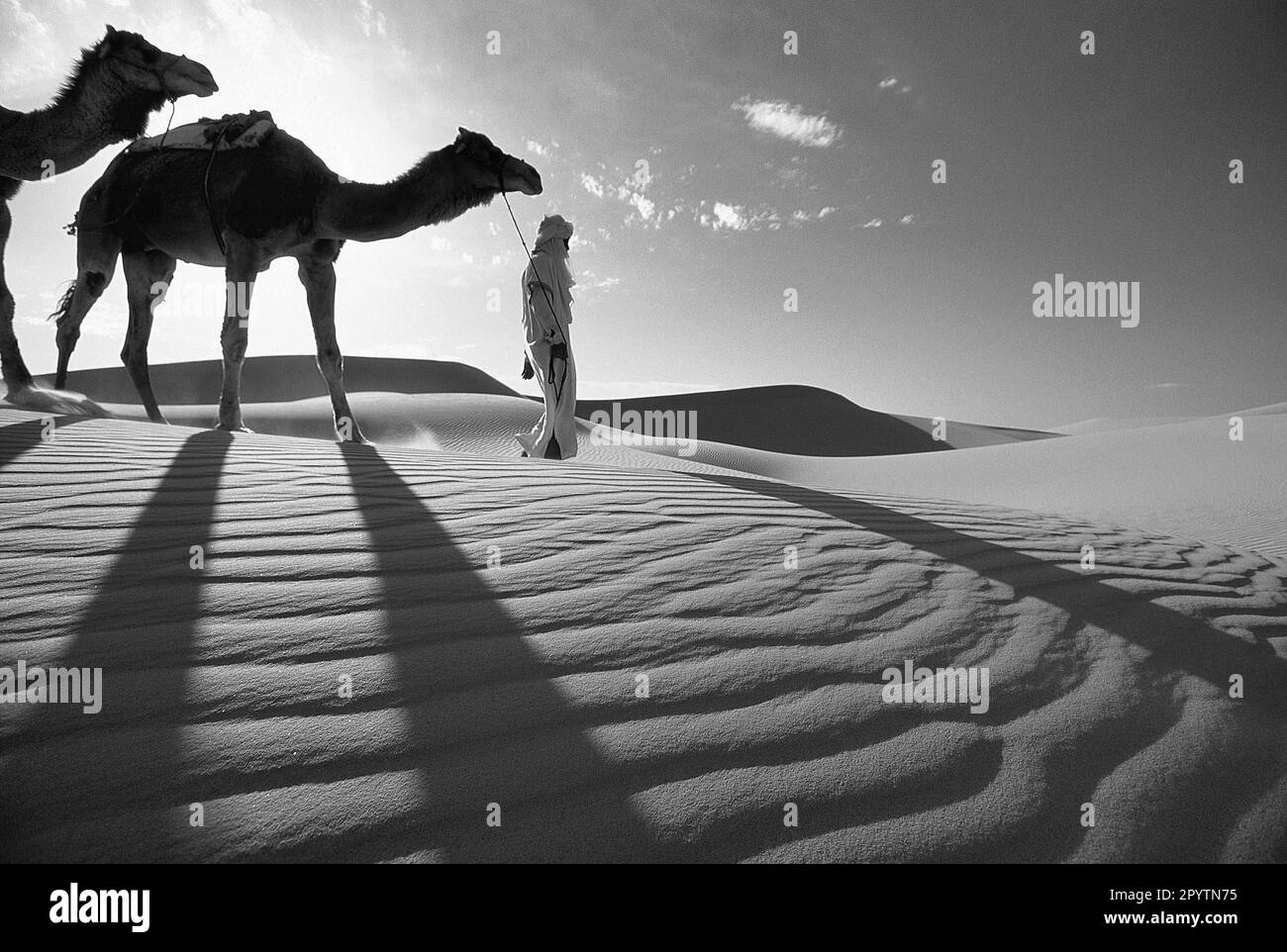 Timimoun algeria Black and White Stock Photos & Images - Alamy