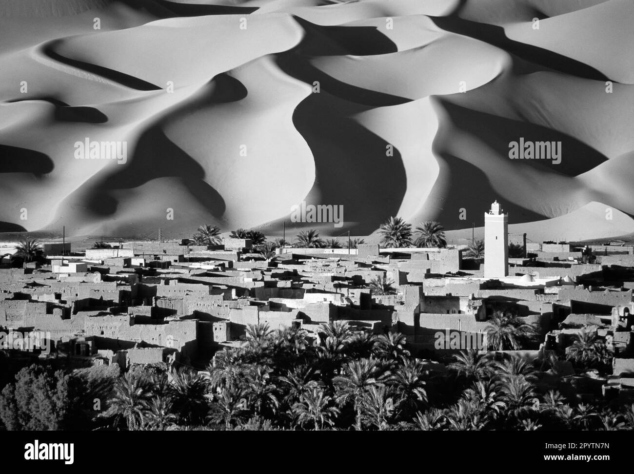 Algeria, Kerzaz. Western Sandsea (Grand Erg Occidental). Gourara valley ...