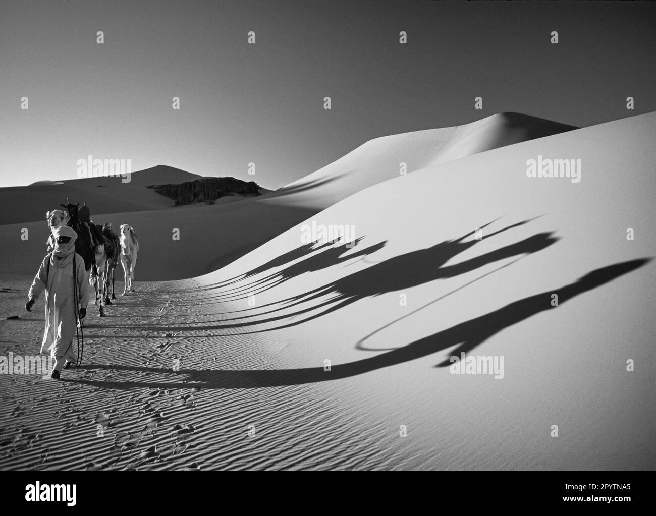 Tuareg men camel Black and White Stock Photos & Images - Alamy