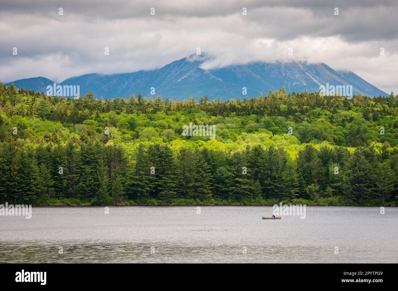 Logging in maine hi-res stock photography and images - Alamy
