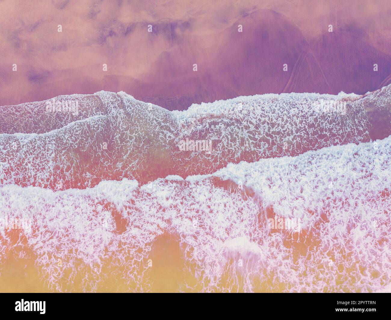 summer sea beach landscape in pink colors, ocean wave on sandy beach ...