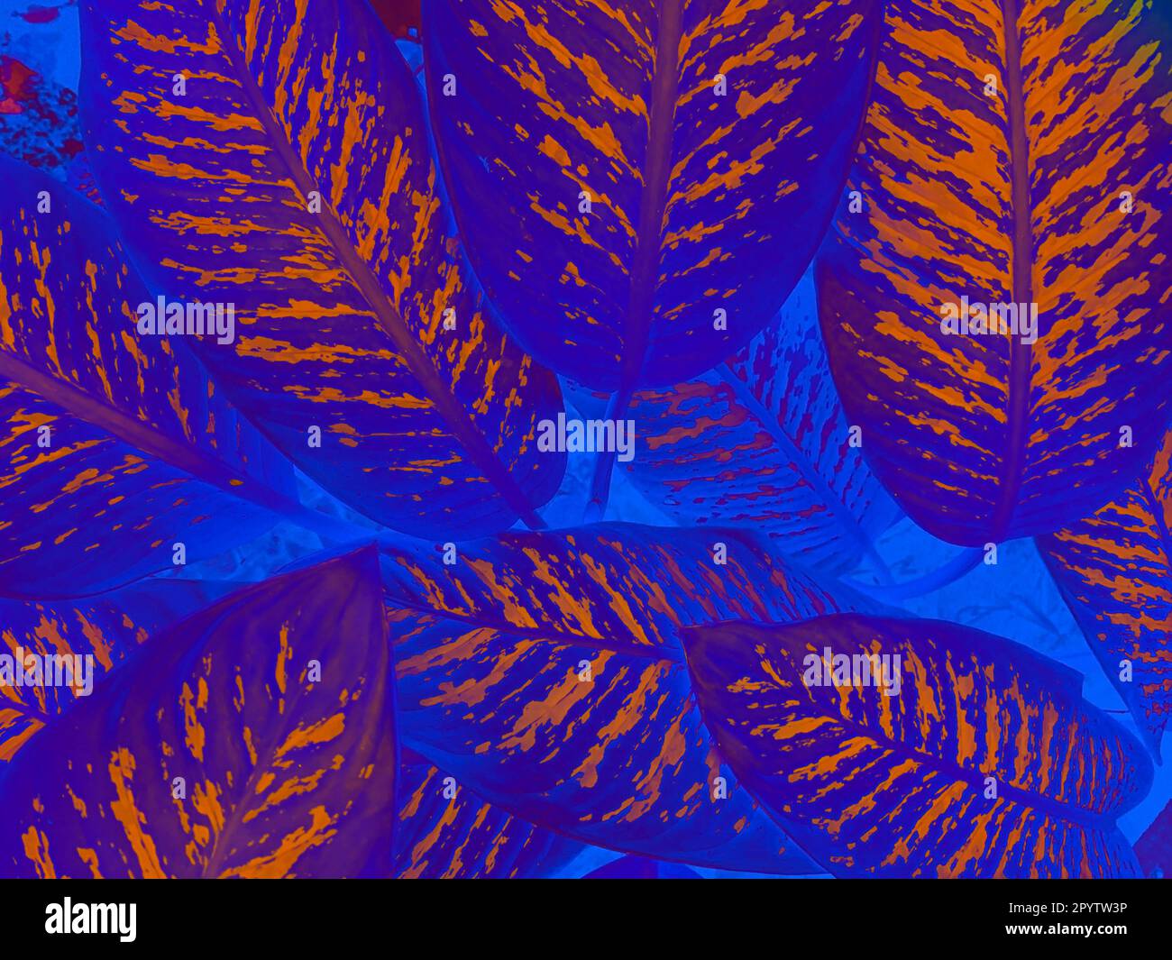 vivid fluorescent exotic floral background with neon colors glow Stock ...