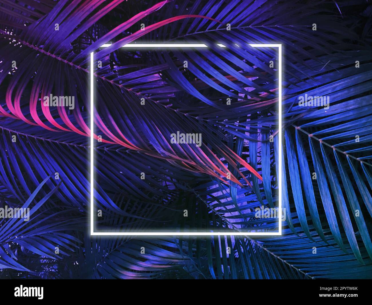 neon party fluorescent color flat lay layout design background with ...