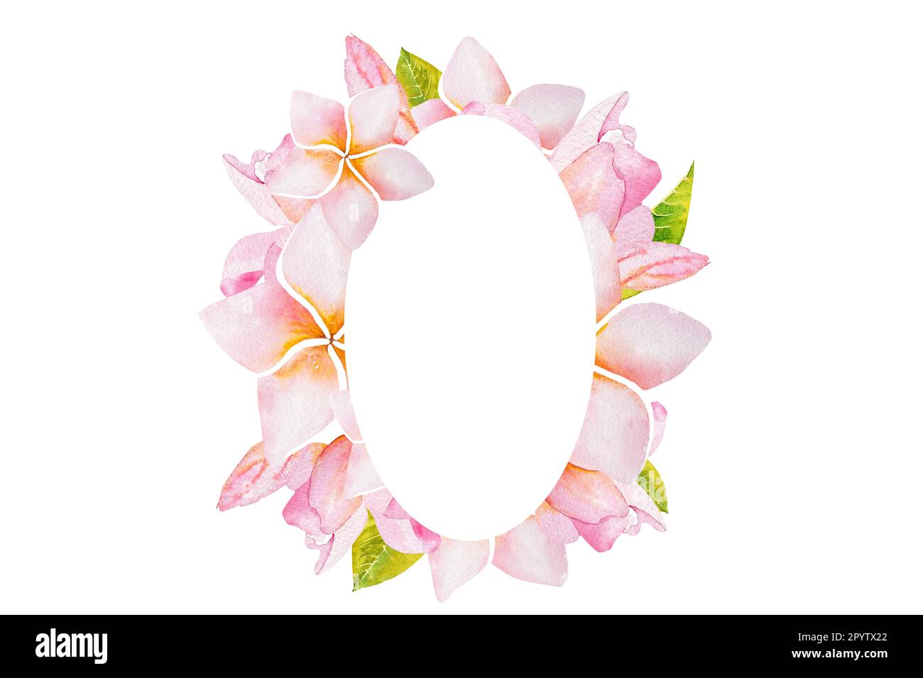 Plumeria illustration hi-res stock photography and images - Alamy