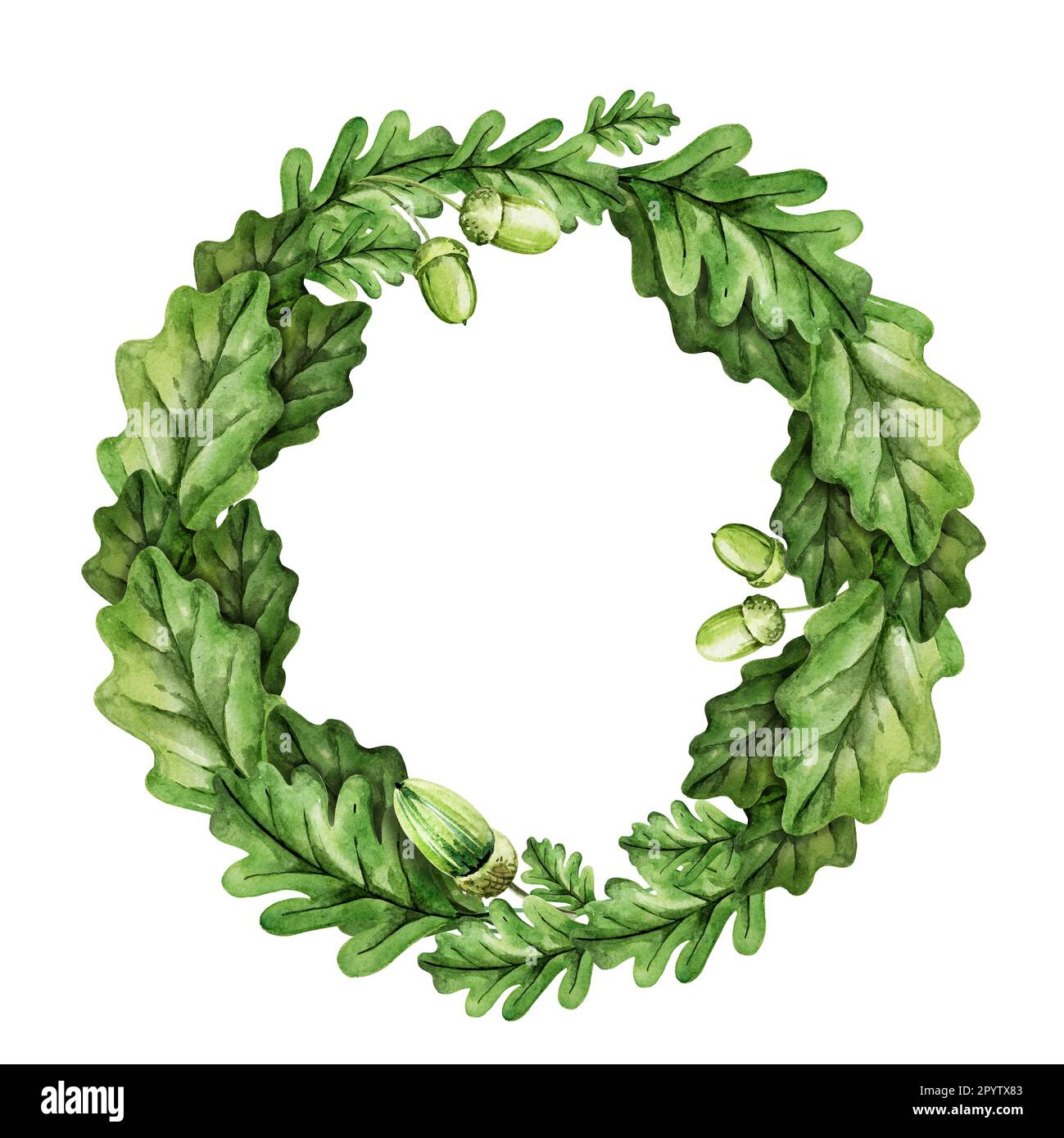 hand draw watercolor round composition with oak seeds, acorns, yellow ...