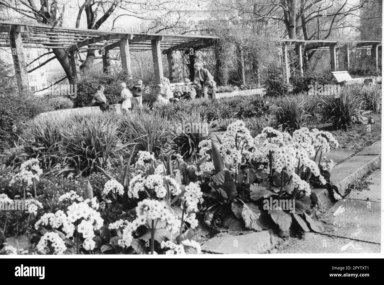 View of the pergola on Friendship Island.photo: MAZ/Christel Köster, 12 ...