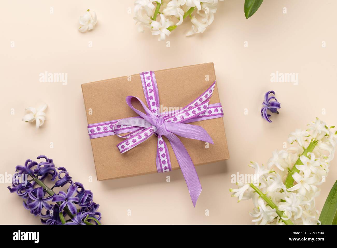 Gift box beautiful hyacinth hi-res stock photography and images - Alamy