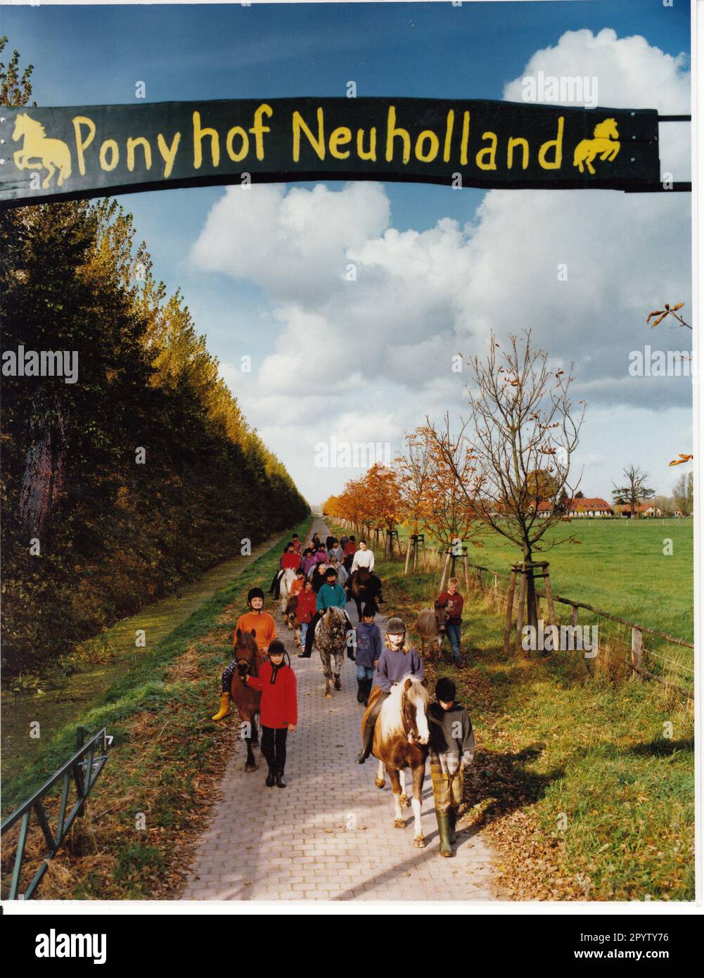 Pony farm Neuholland in Liebenwalde (OHV). Horse farm. Riding stable ...