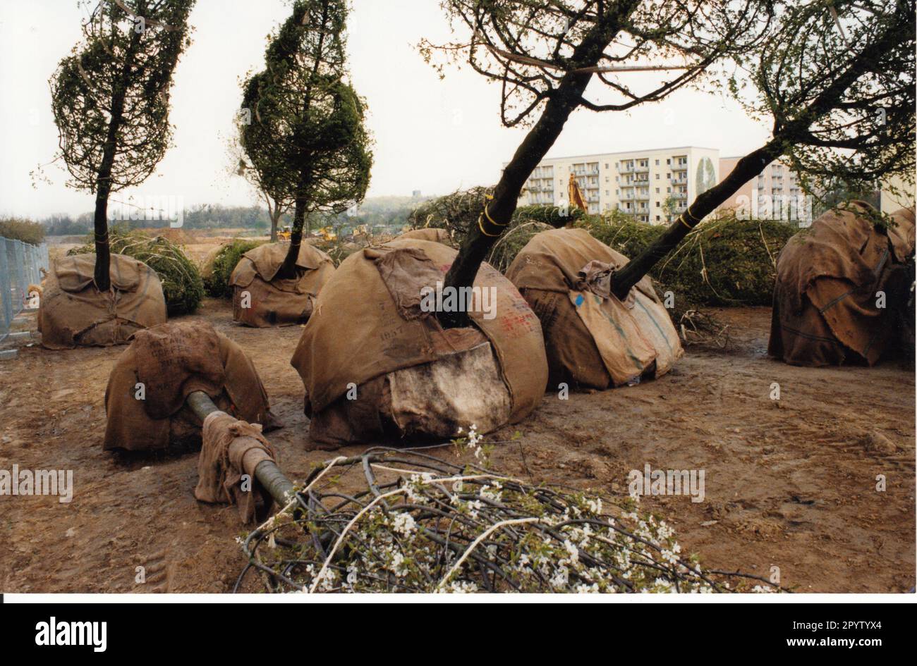 The first trees are planted for the future Buga site.Bundesgartenschau ...
