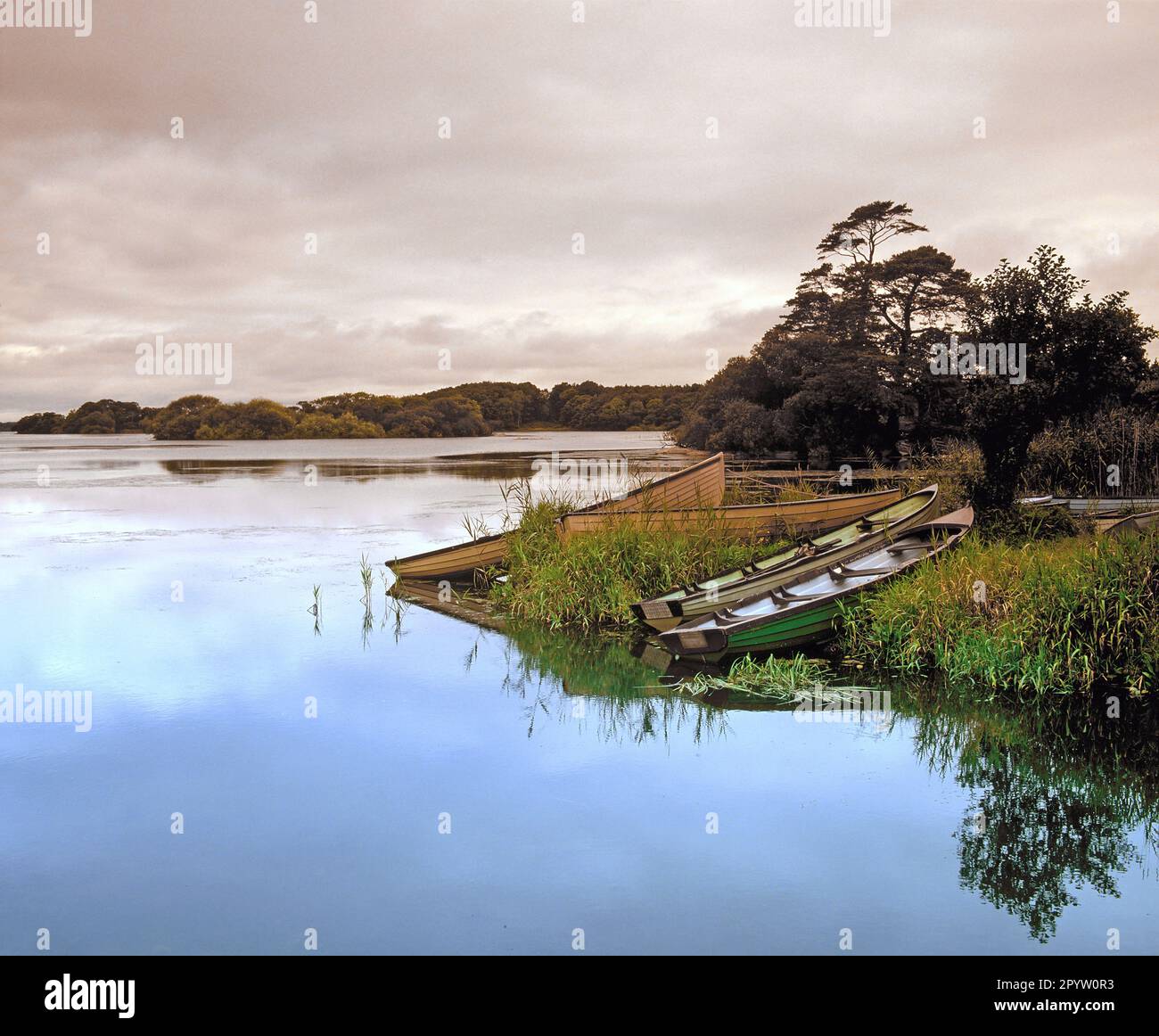 Killarney bay hi-res stock photography and images - Alamy