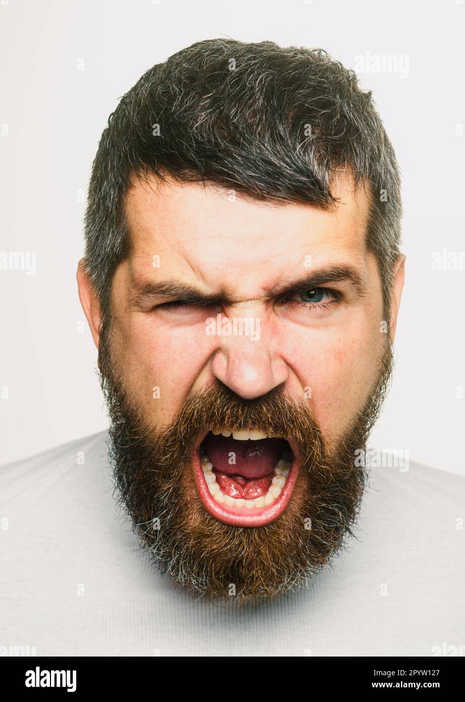 Angry Barber with long beard and moustache in barbershop. Bearded ...