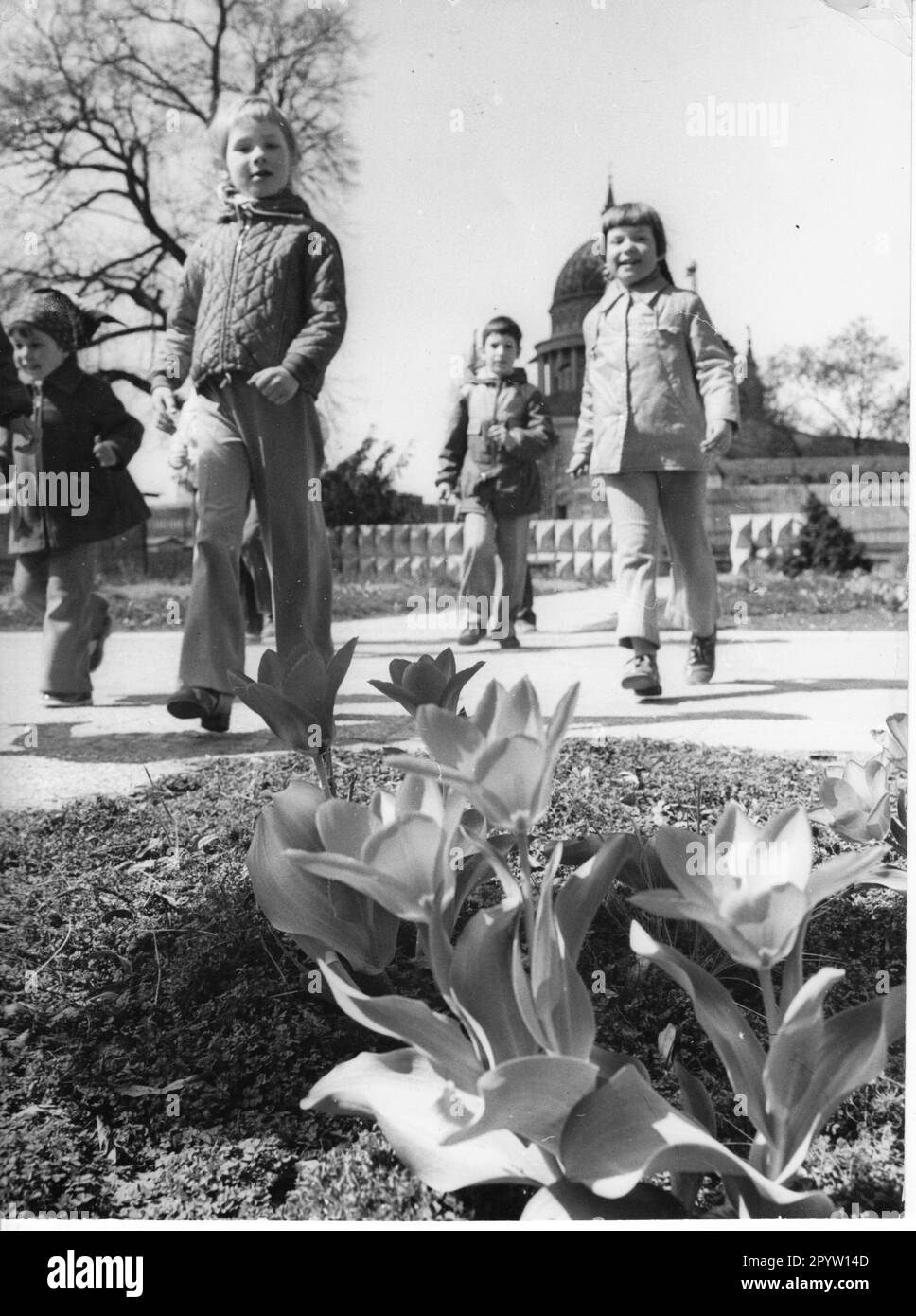 Friendship island potsdam hi-res stock photography and images - Alamy