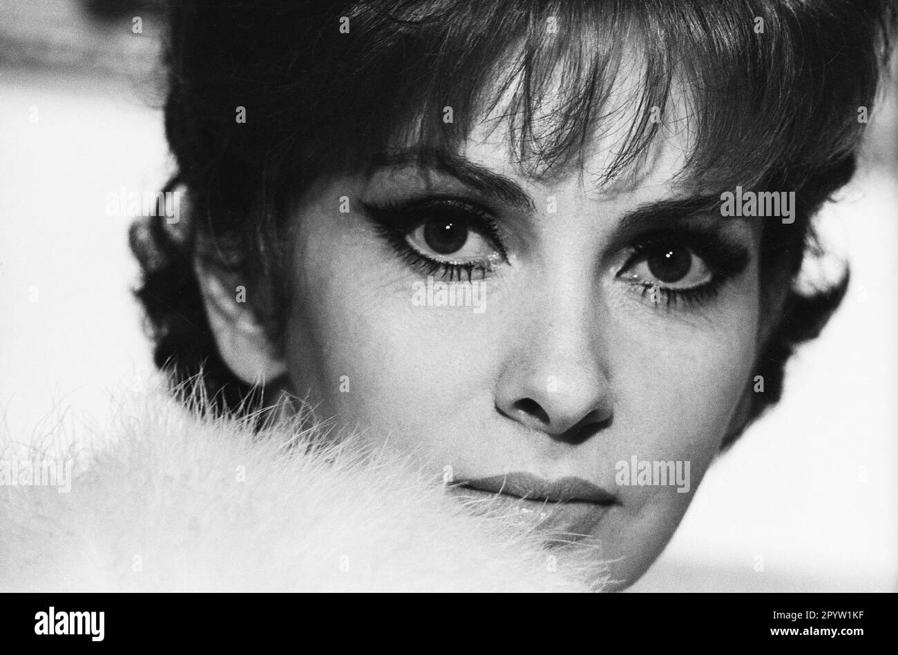 Italy, Rome, 16.09.1967 The Italian actress Gina Lollobrigida ...