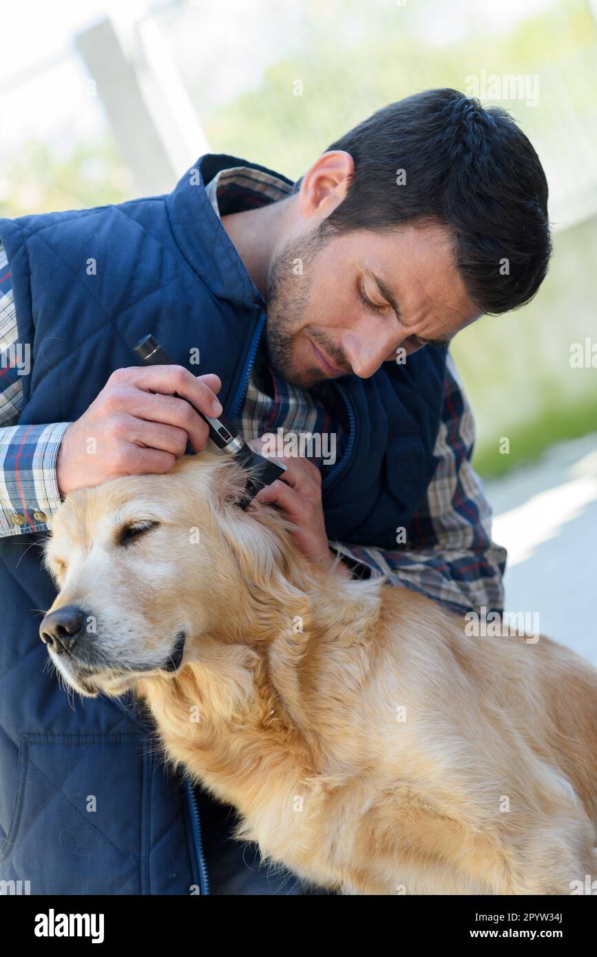 Male doctor examines elderly hi-res stock photography and images - Alamy