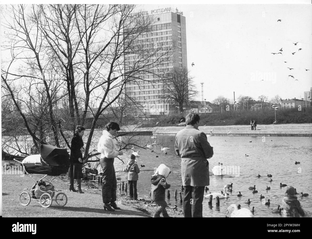 Potsdam: Friendship Island 18.03.1984 water birds Old ride people ...