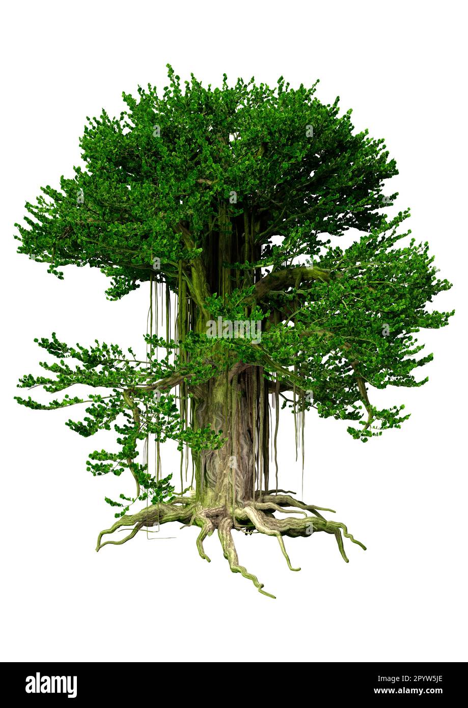 3D rendering of a banyan tree isolated on white background Stock Photo ...