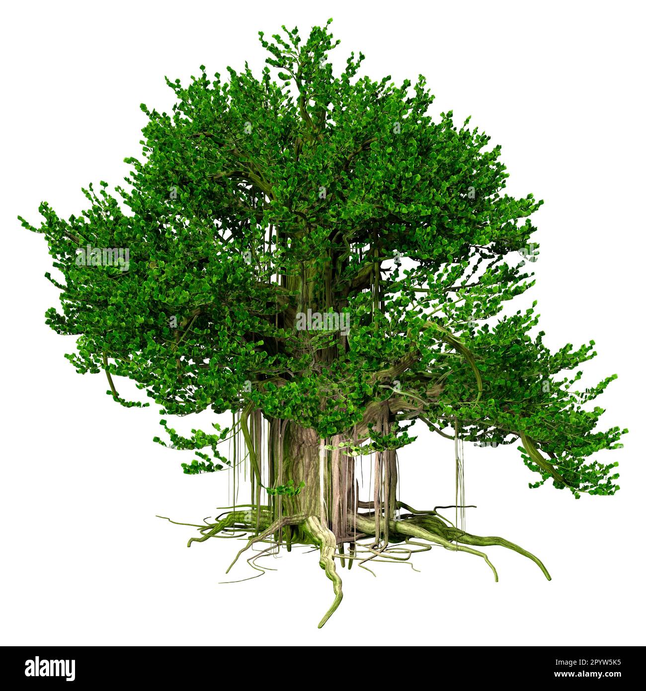 3D rendering of a banyan tree isolated on white background Stock Photo ...