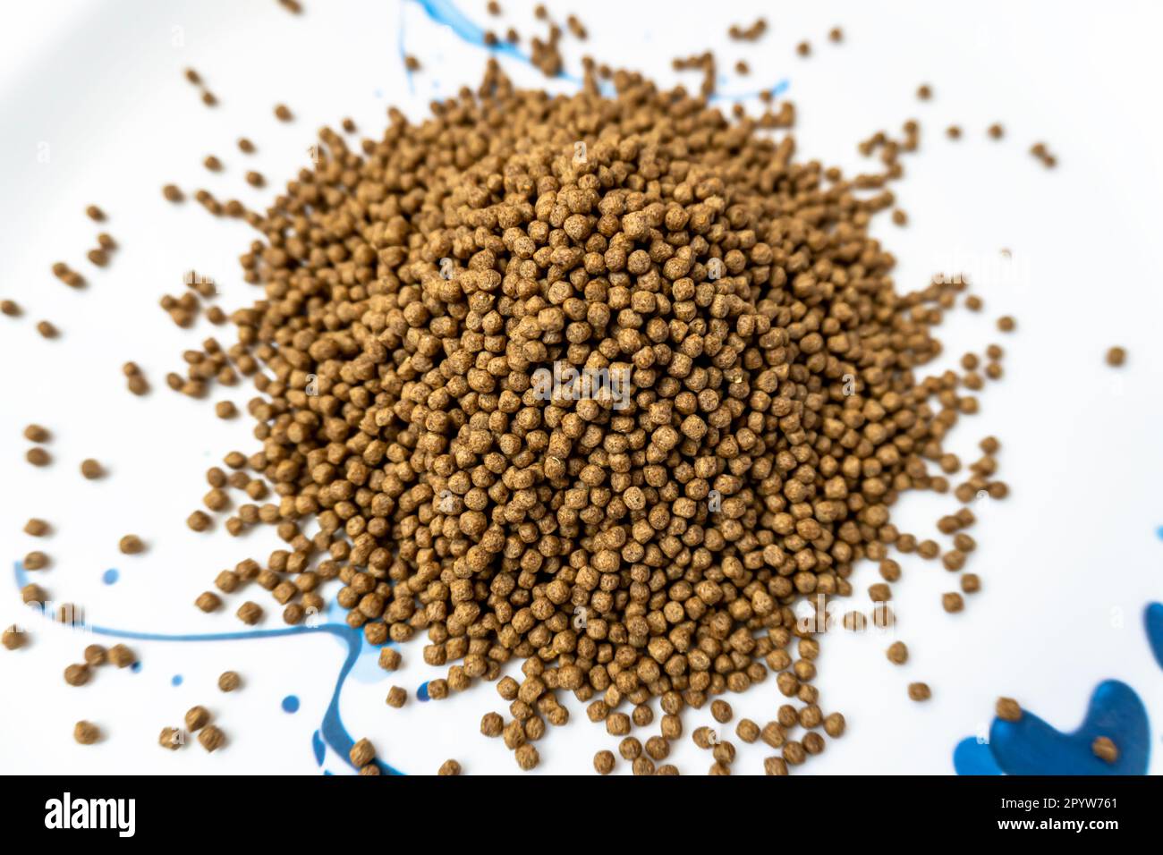 Close-up small fish feed isolated on white plate. Feed for carpfish ...